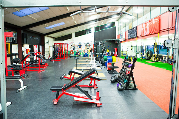 Our gym facilities | Nelson gym